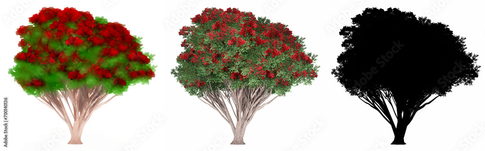Set or collection of Northern Rata trees, painted, natural and as a ...