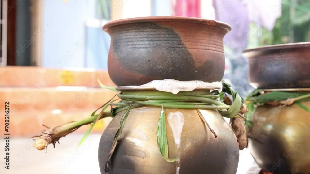 celebrating Traditional Thai Pongal festival to sun god with pot, lamp ...