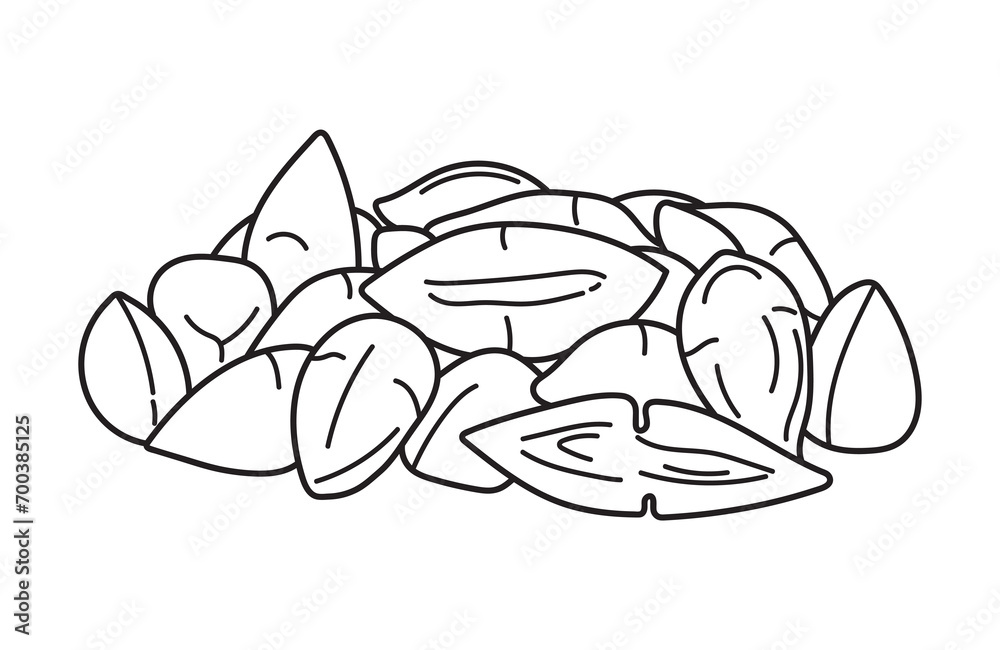 Hand drawn Kids drawing vector Illustration pili nuts in a cartoon ...