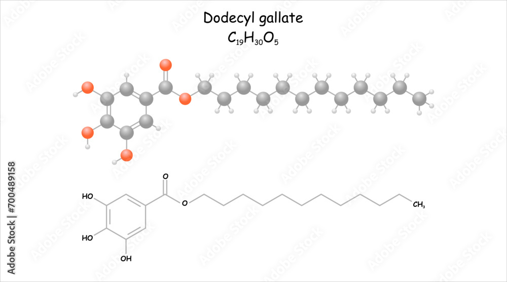 Vetor de Stylized molecule model/structural formula of dodecyl gallate ...