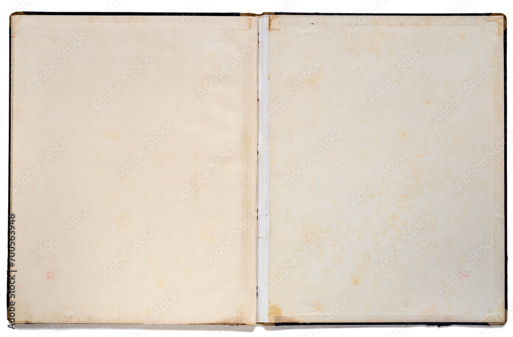 Blank inside double page of a antique ledger accounting book with ...