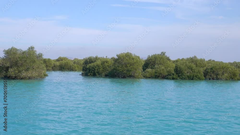 Mangrove forest on the Arabian Sea coast. Qeshm in the Persian Gulf ...