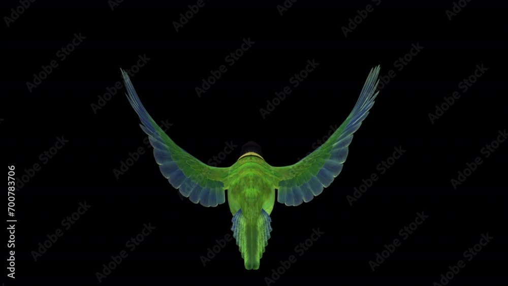Black-Hooded Green Parakeet - American Parrot Bird - Back View CU ...