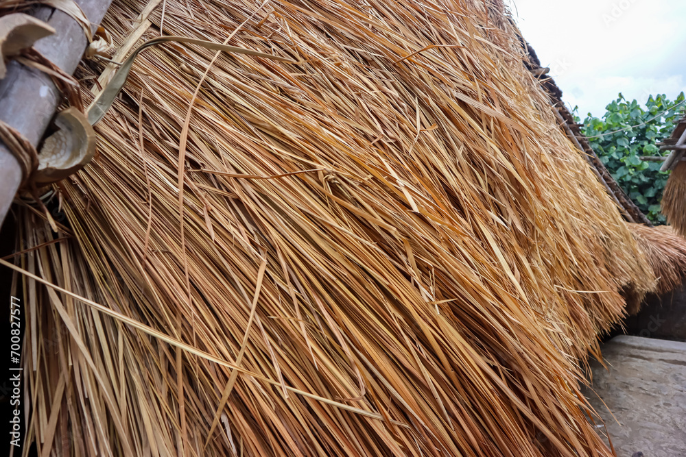 Thatched roof of Sasak tribe traditional house in Sade village, Lombok ...