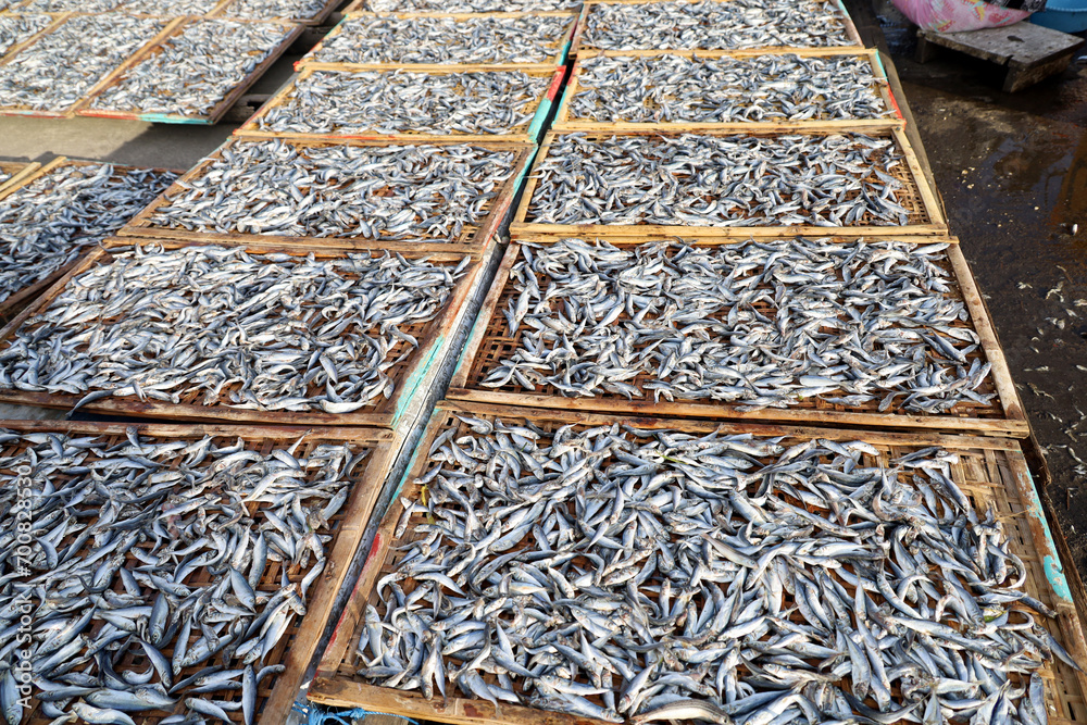 salted fish production, the process of drying small fish or anchovies ...