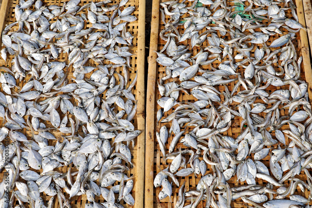 the process of drying salted fish in bamboo trays under the sun ...