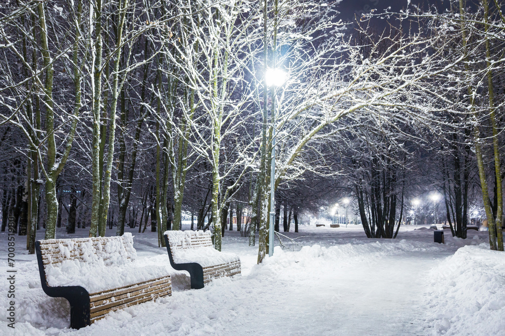 Bench and trees in park covered snow. Empty benches and tree after snowfall and blizzard in ...