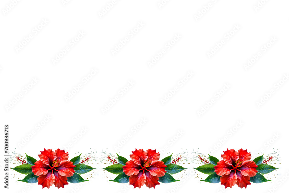 Hibiscus flower border on white background Stock Illustration | Adobe Stock