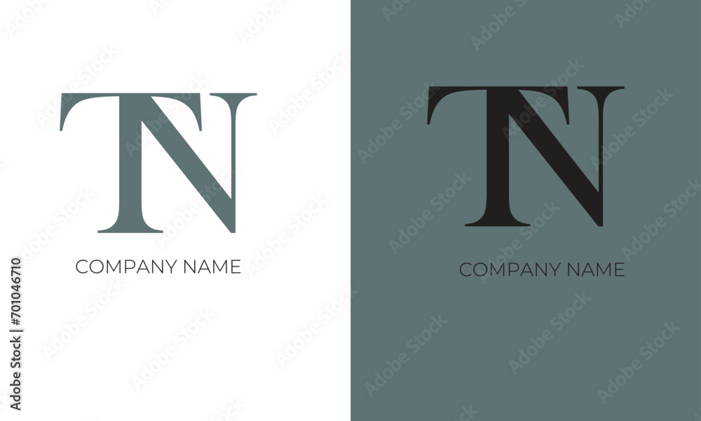 Minimal and unique TN letter logo for business and corporate identity ...