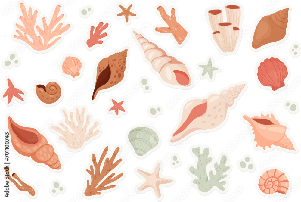 Cute sea shells sticker set vector illustration. Cartoon beach or ...