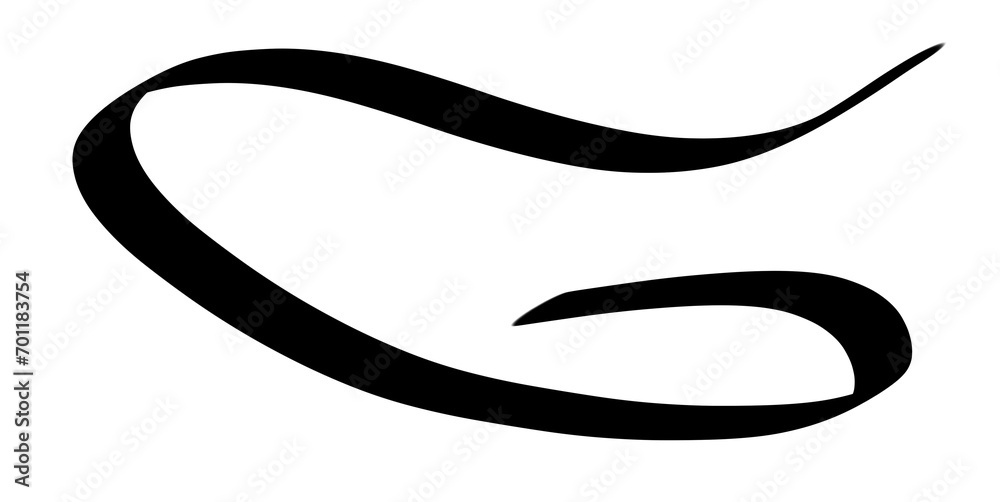 Swash swoop and swish calligraphy sign. Underlines hand drawn stroke ...