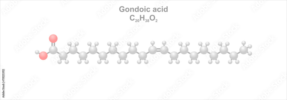 Gondoic acid. Simplified scheme of the molecule. Found in plant oils ...