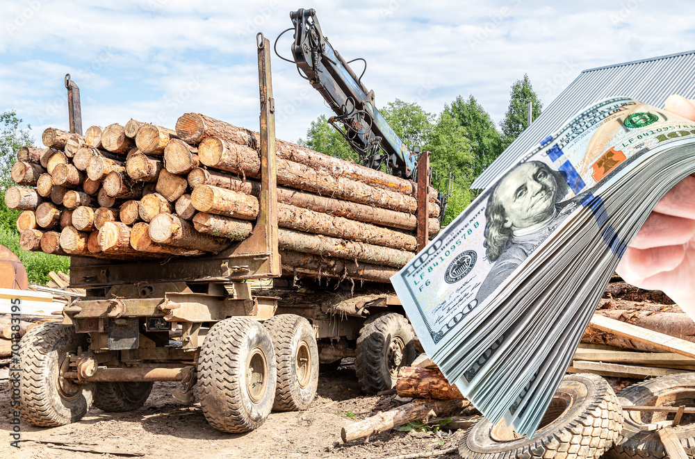 Timber carrier with large sawn logs at the wood storage place and stack ...