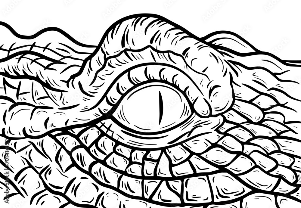 Crocodile eye closeup. Skin texture. Aquatic carnivorous reptile ...