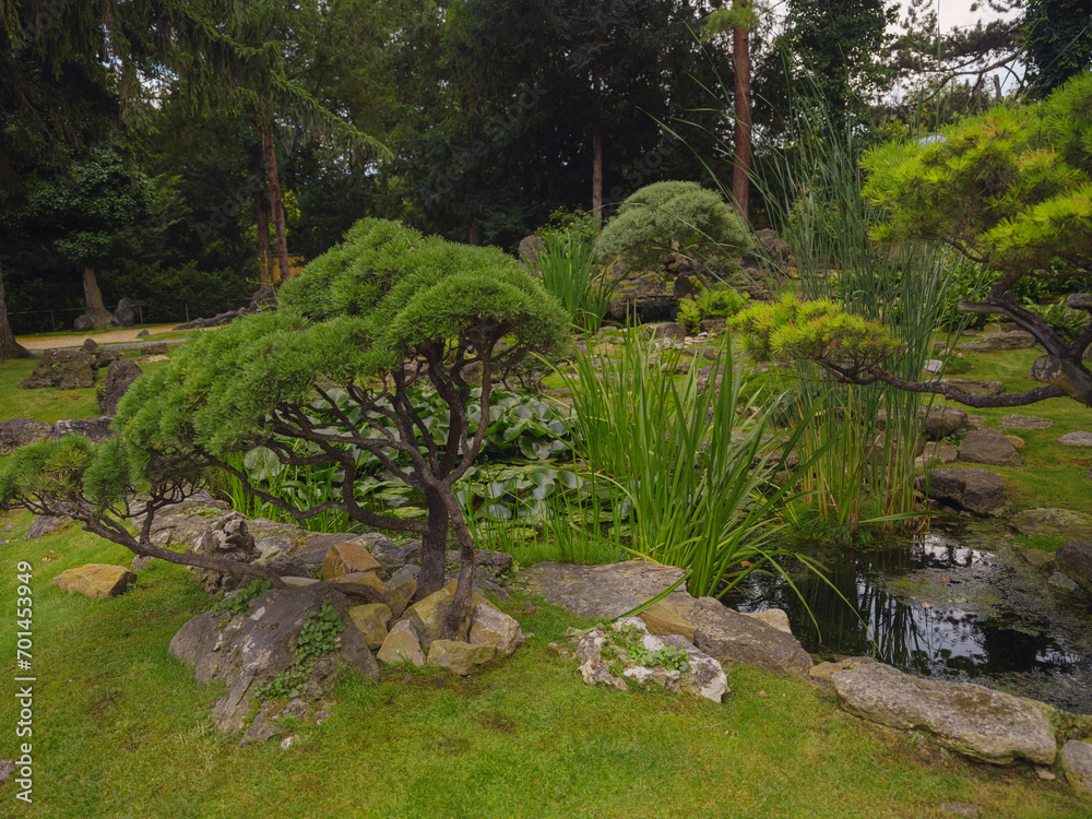 Japanese garden in Vienna (inside Botanical garden): Japanese maple ...