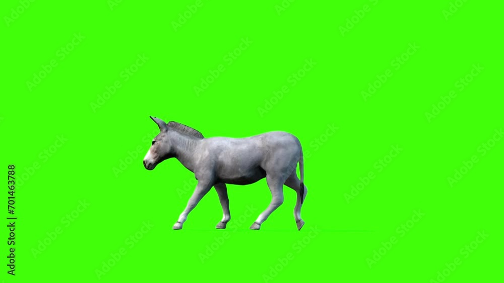 3D Donkey Animal walking entering and outing with cycle view animation ...