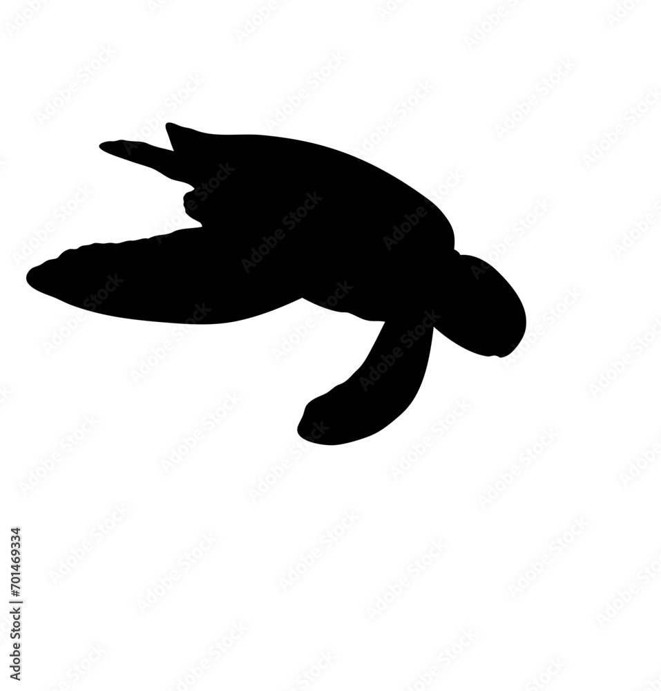 Sea Turtle svg bundle , Sea Turtle Svg, Sea Turtle Png, Tortoise Svg ...