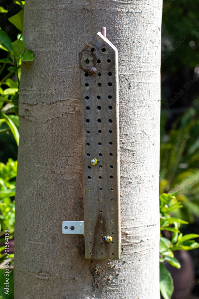 Manmade solitary bee nesting log attached to a tree in a garden Stock ...