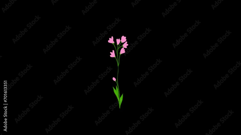 Vidéo Stock Cartoon Flowers Animations Motion Graphics Pack is a ...