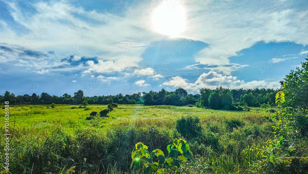 Green field, blue sky and sun at Pantai Sepat, Kuantan Pahang, Malaysia ...