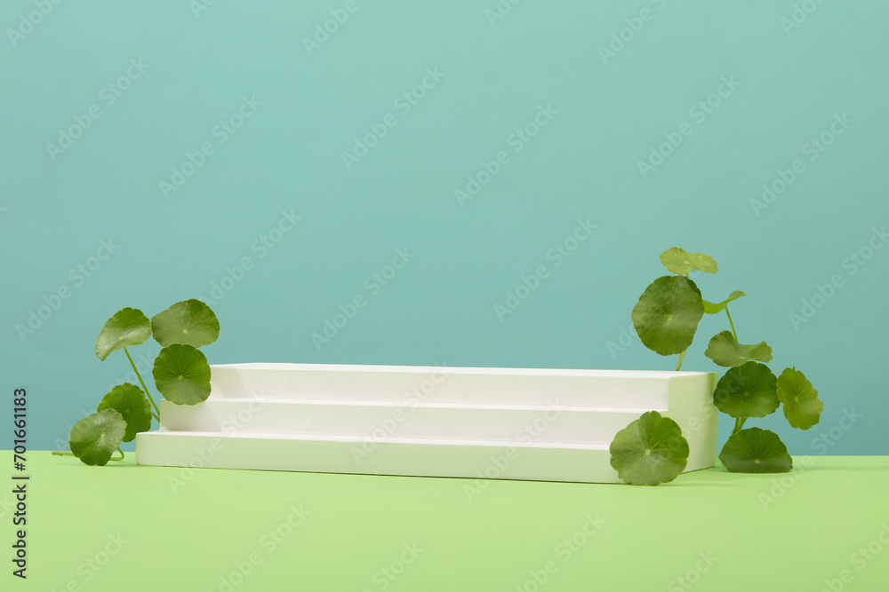 Centella asiatica leaves are used to decorate a white terraced platform ...