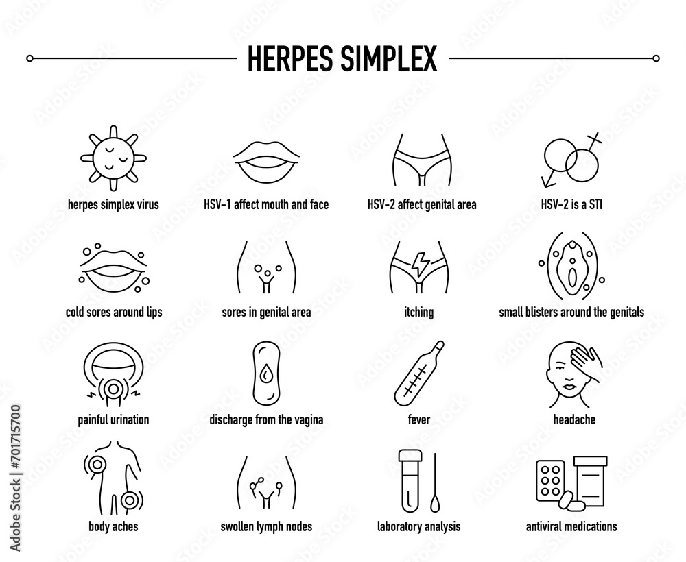 Herpes Simplex symptoms, diagnostic and treatment vector icons. Line editable medical icons ...
