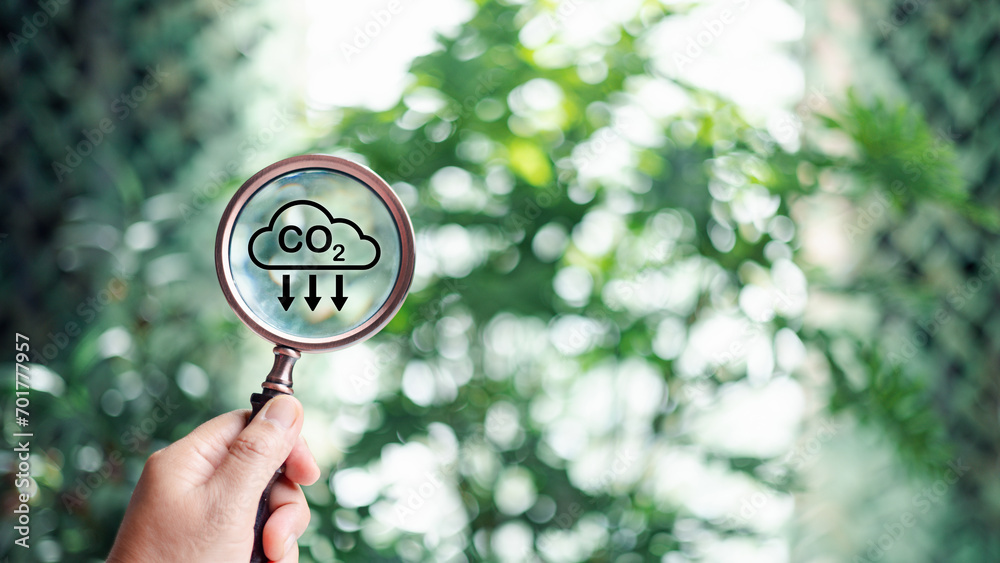 Developing sustainable CO2 concepts and low reduce CO2 emissions and ...