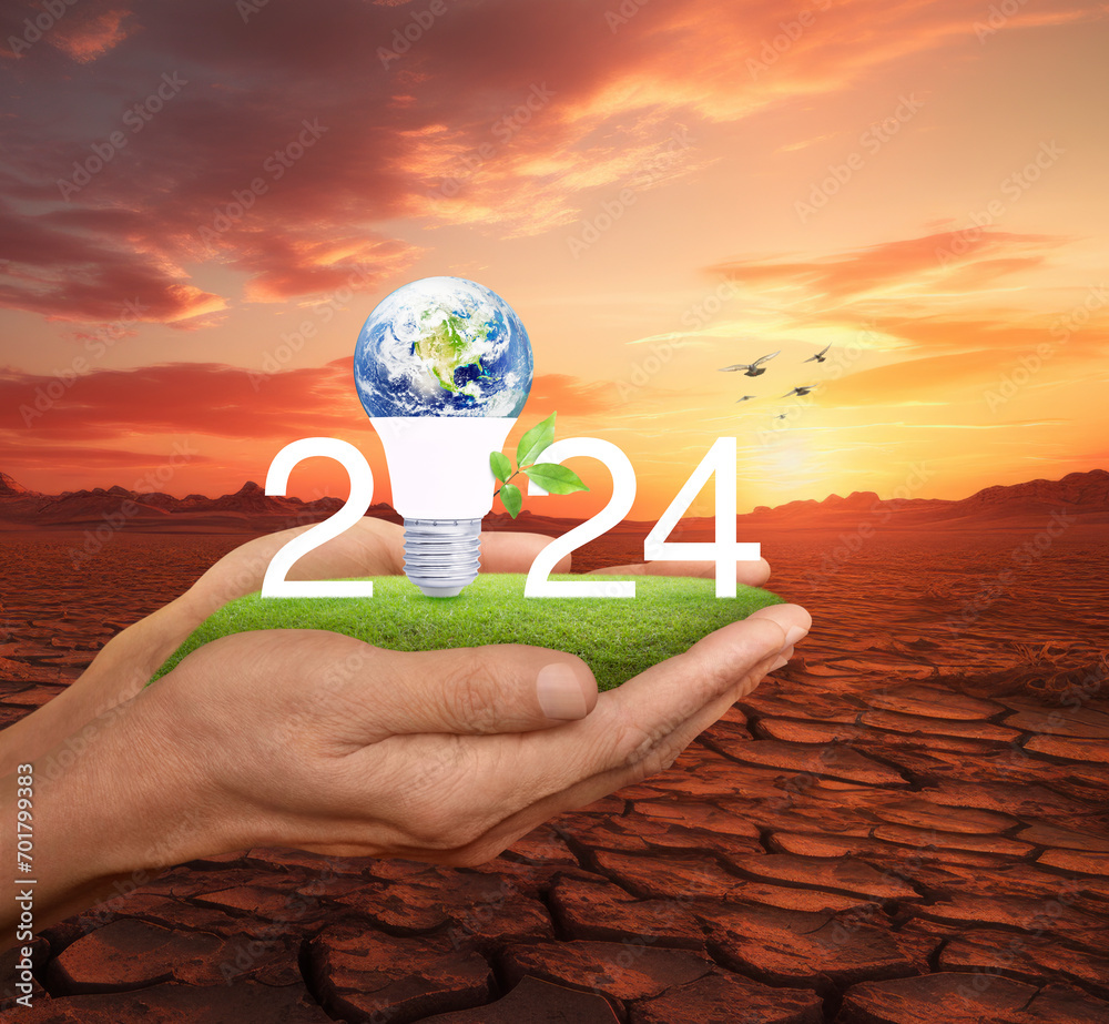 2024 and earth globe inside led light bulb with leaves on grass in ...