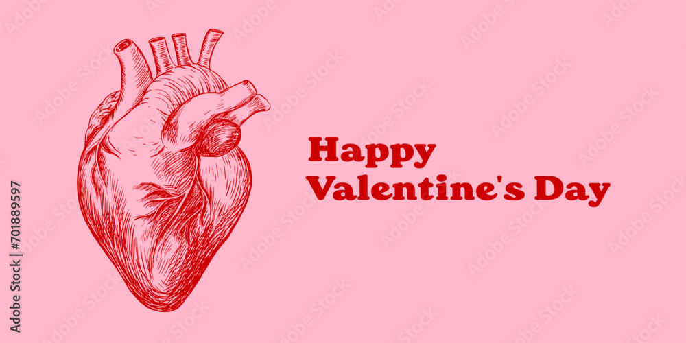 Happy Valentine's Day banner with realistic human heart. Sketch style ...