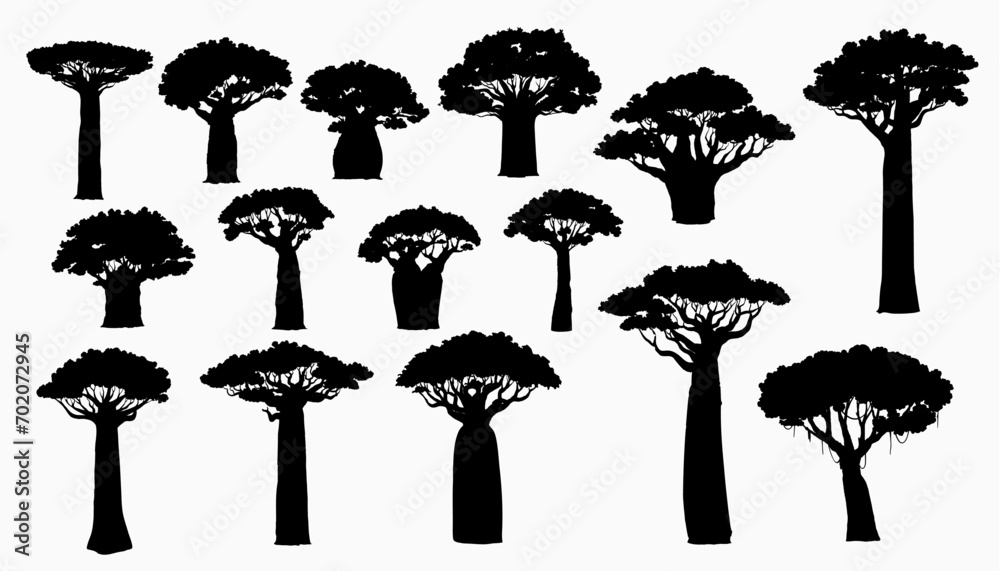 African baobab tree silhouettes. African continent and Madagascar ...