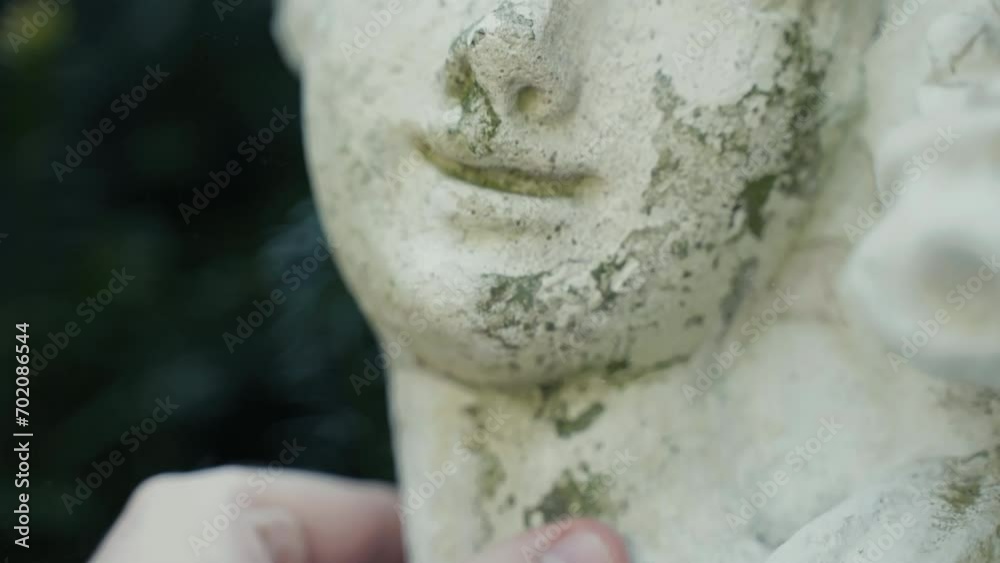 Vidéo Stock Old sandstone statue of mythical character overgrown with ...