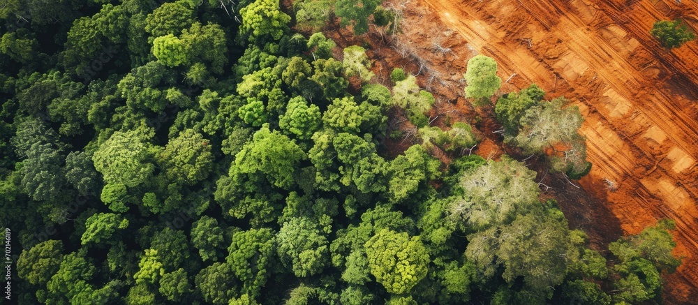 A stunning aerial view of land clearing where the brown soil contrasts ...