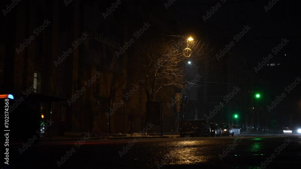 Vidéo Stock Traffic lights and streetlights of the night city in the ...