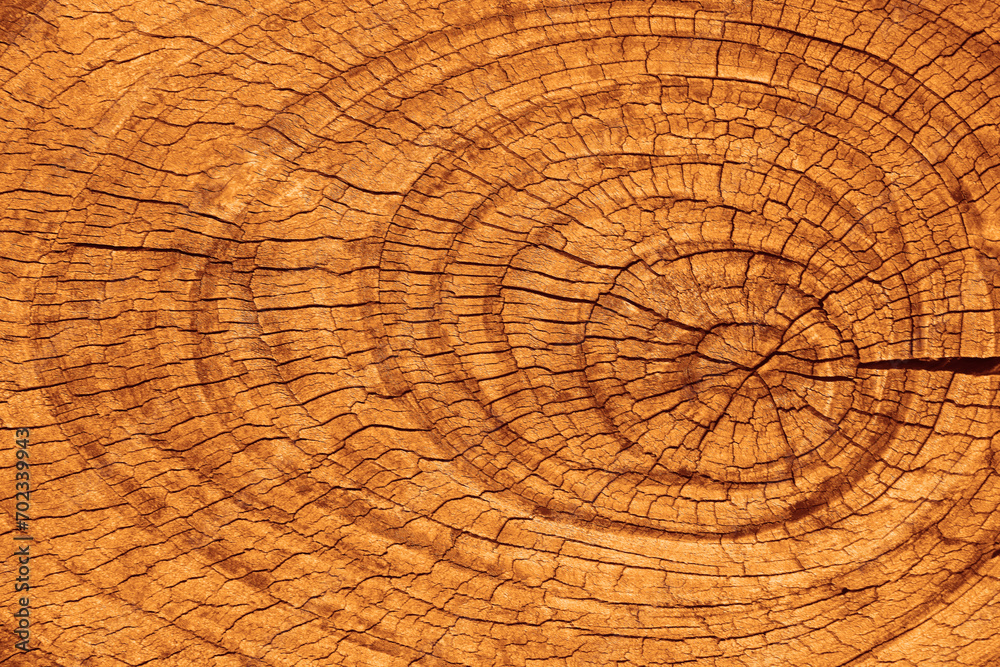 Tree rings saw cut tree trunk background. old, retro aged Wooden ...