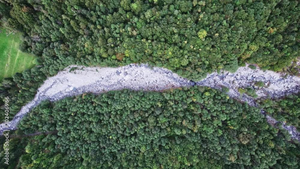 Green tropical rainforest, texture of lush tree and river flowing ...