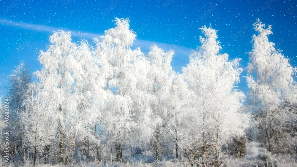 Beautiful winter white trees with falling snow 4K. Forest, park, tree ...