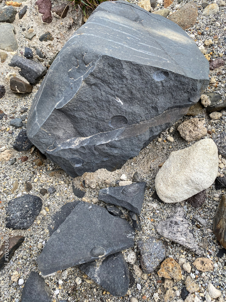 Bivalve fossils in Valley of Ten Thousand Smokes, Katmai National Park ...