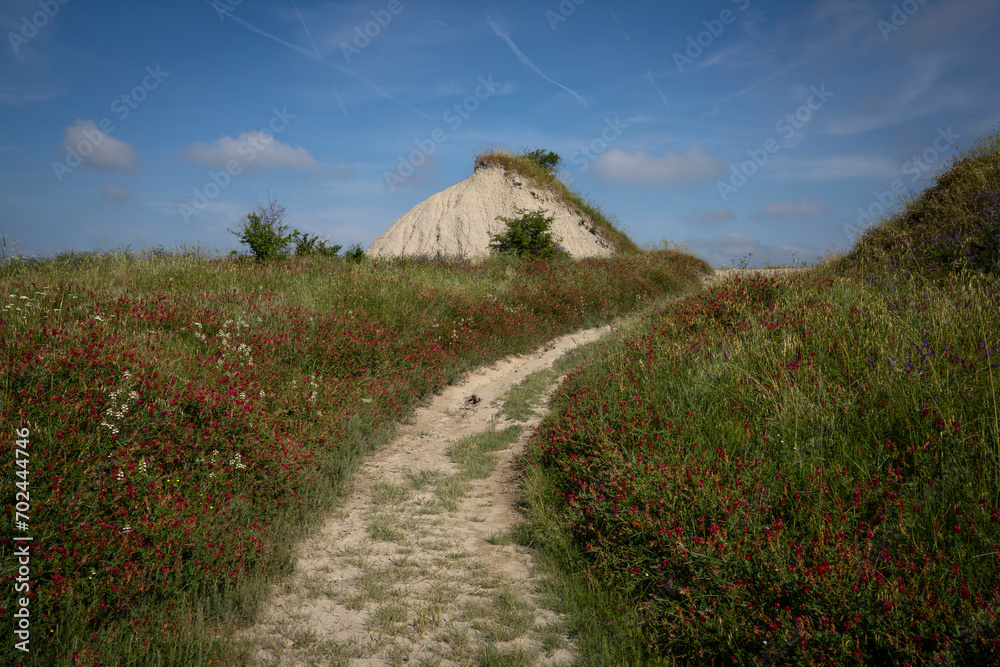 Bare hills of white clay in the Crete Senesi, Tuscany, Italy. A ...