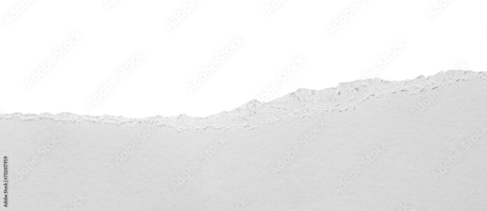 torn blank pages with uneven texture edges. set of ripped white paper ...