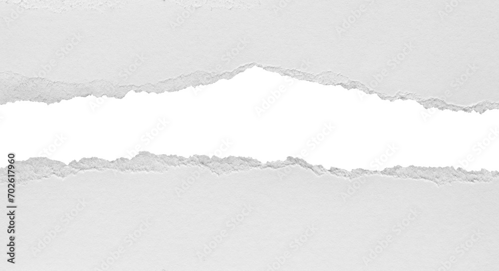torn blank pages with uneven texture edges. set of ripped white paper ...