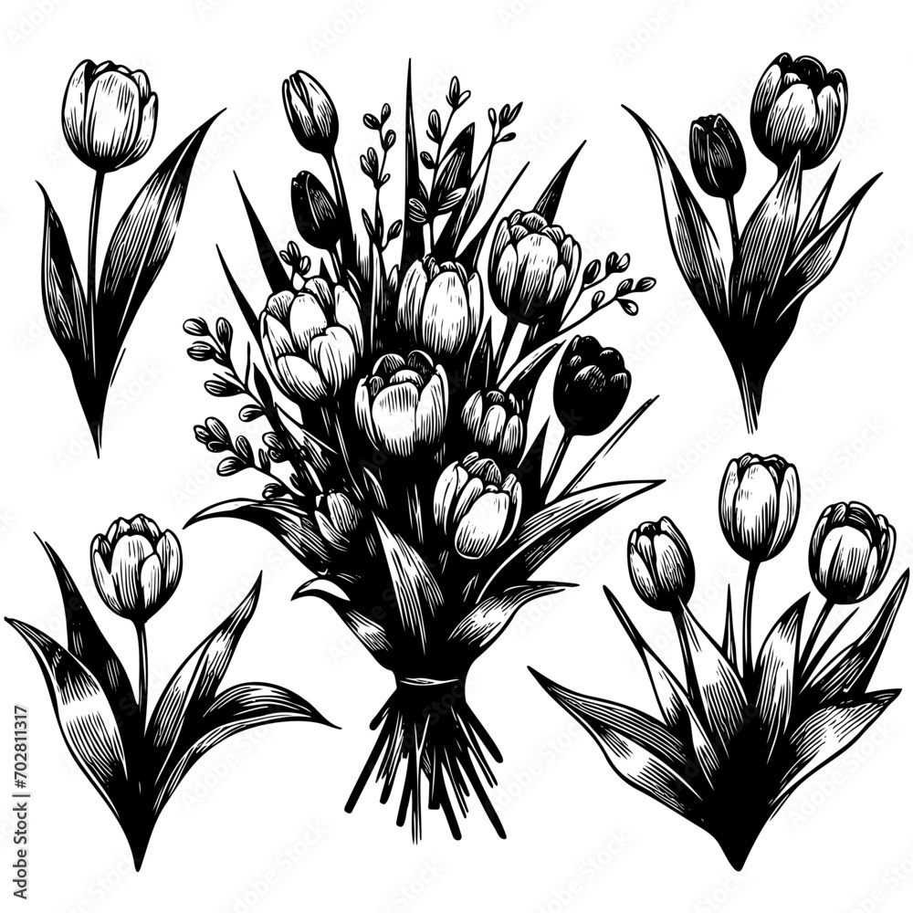 Set tulip birth month flowers in March. Botanical art vector ...