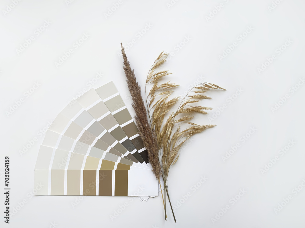 Concept: nature inspires colors. Samples of paints with dried grass on ...