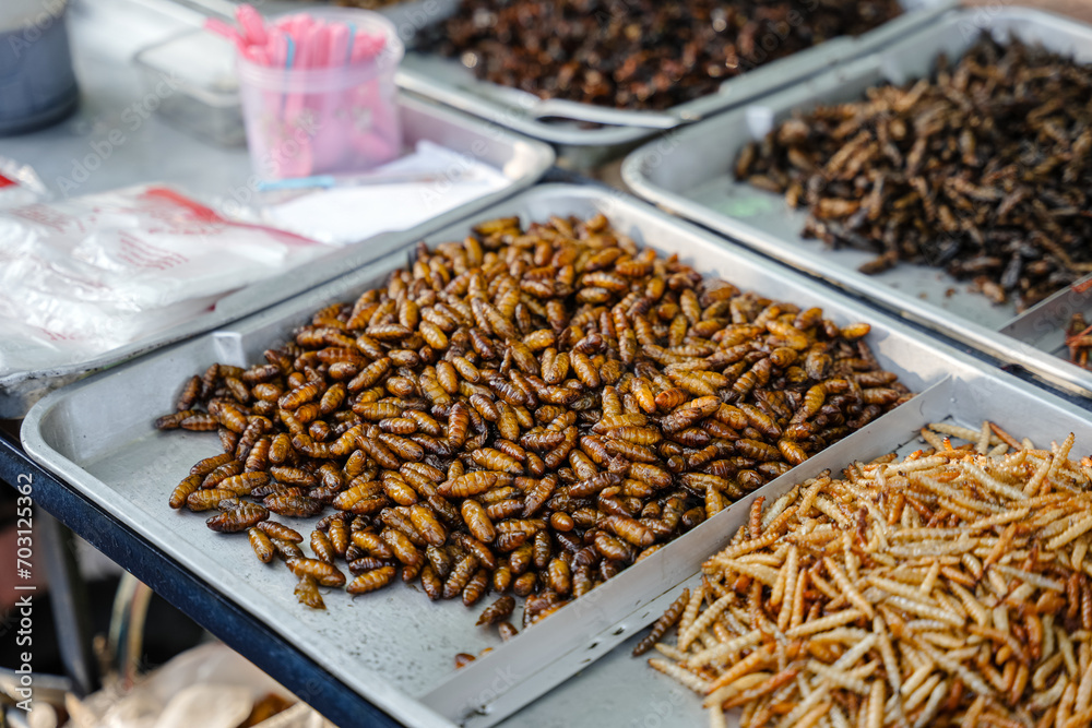 Fried insects (locust, worm, cricket, pupa, and giant waterbug) as ...