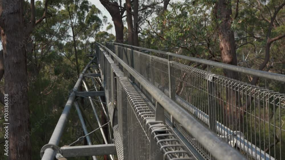 Tilt down reveal on the tree top walk from over the handrail, showing ...