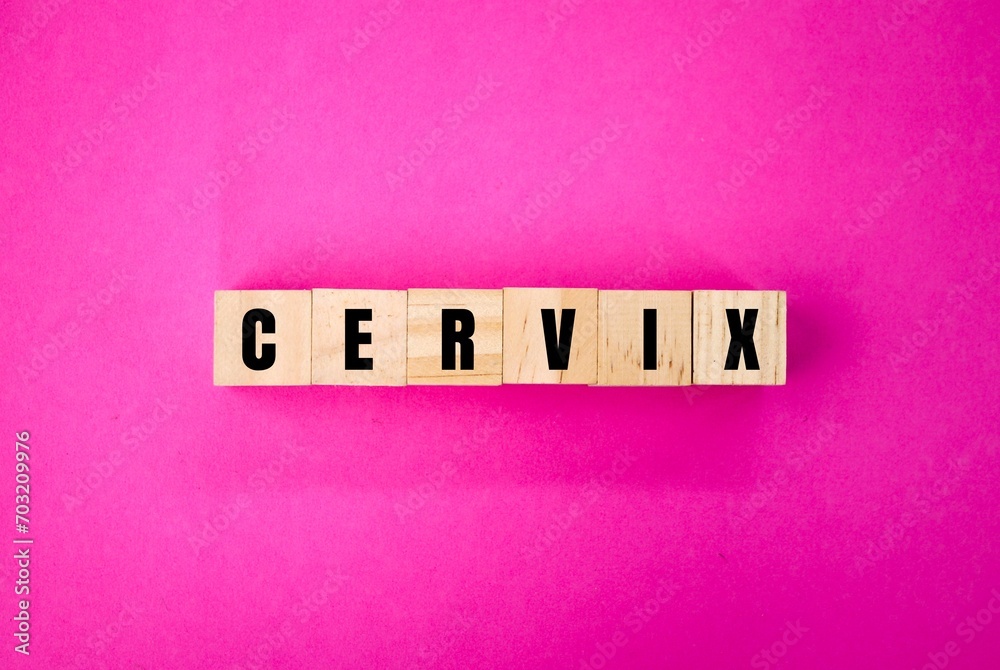 wooden cube with the word cervix and pink background. the concept of ...