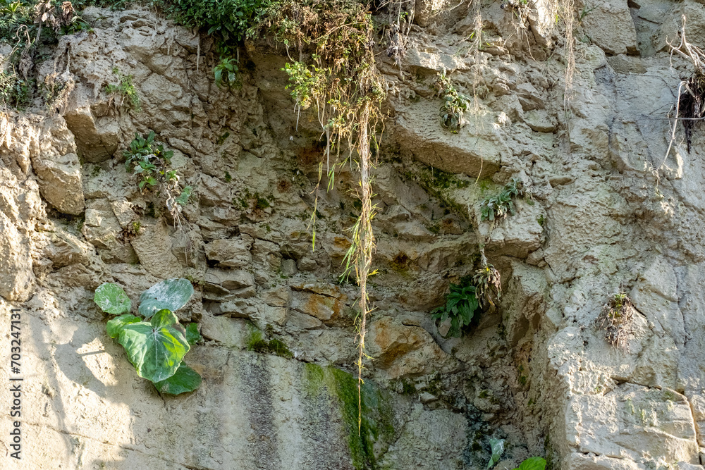 The image is a close-up study of a cliff's face, showcasing the ...