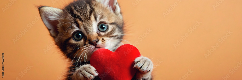 Kitten Holds Red Heart In Paws, Adorable Feline Captured With Symbol of ...