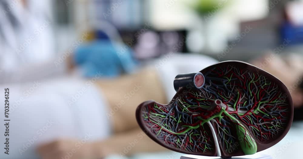 Human liver and gallbladder ultrasound with medical ultrasound ...