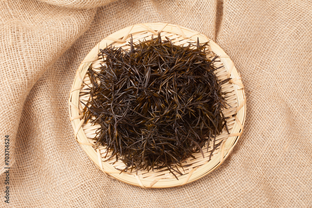 Seaweed of the brown algae Mojabanidae. The body is supported by ...