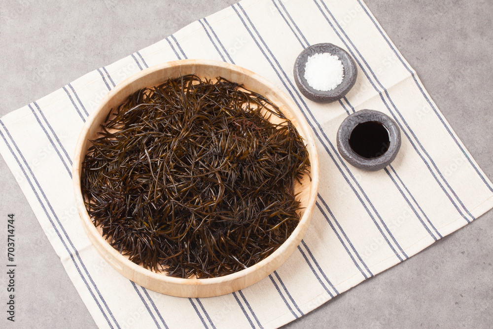 Seaweed of the brown algae Mojabanidae. The body is supported by ...